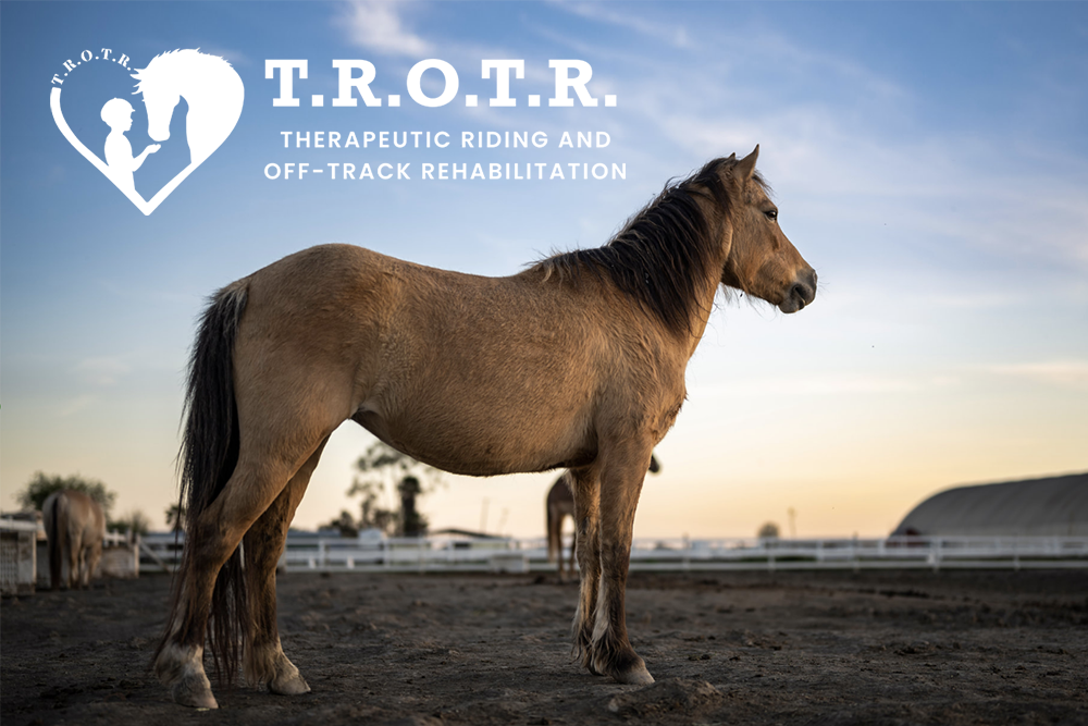 Alta Regional Center